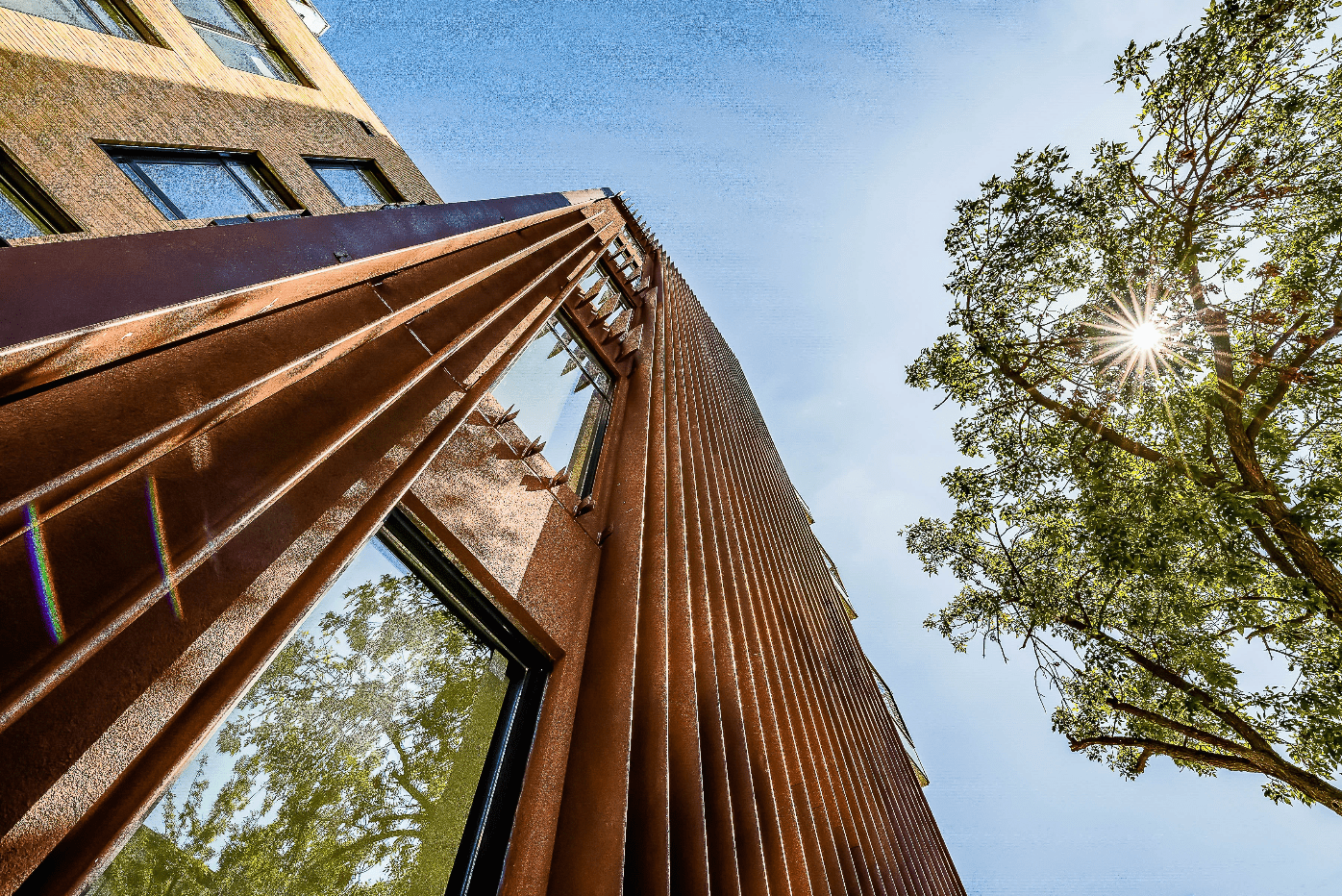 Services - Raineri Construction